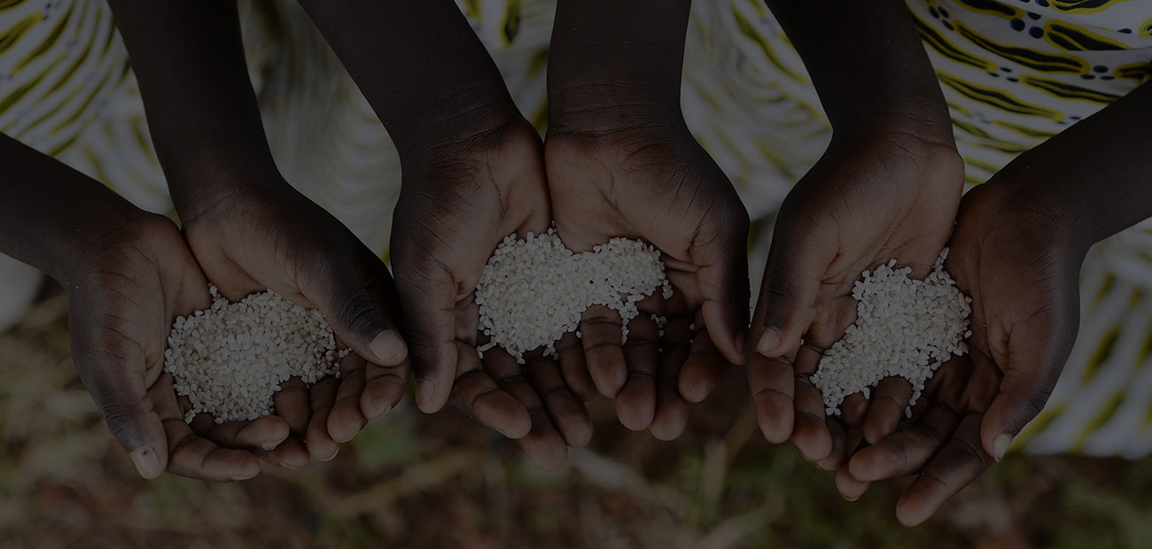 GOAL 2: ZERO HUNGER - OC Global