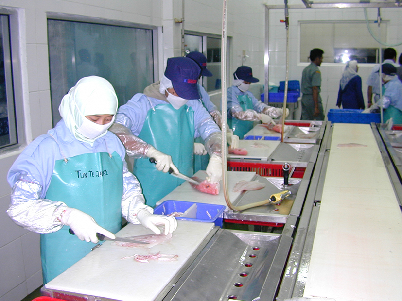 Modernizing Jakarta’s fishing port - OC Global